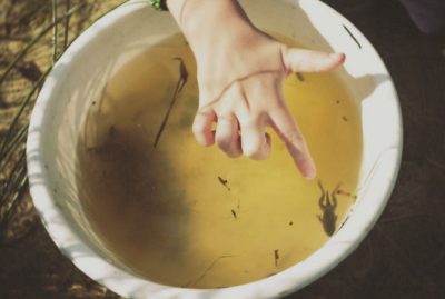 Home - Into The Trees