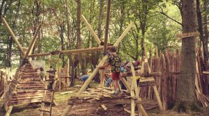 Home | Into The Trees