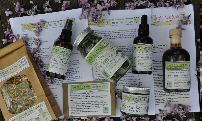 Into The Trees – A Family Adventure!