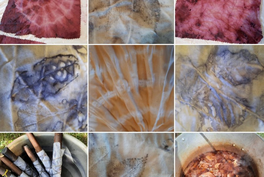 Home - Into The Trees